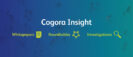 Cogora Insight: Leading Research & Investigations from Our Award-Winning Brands - Cogora